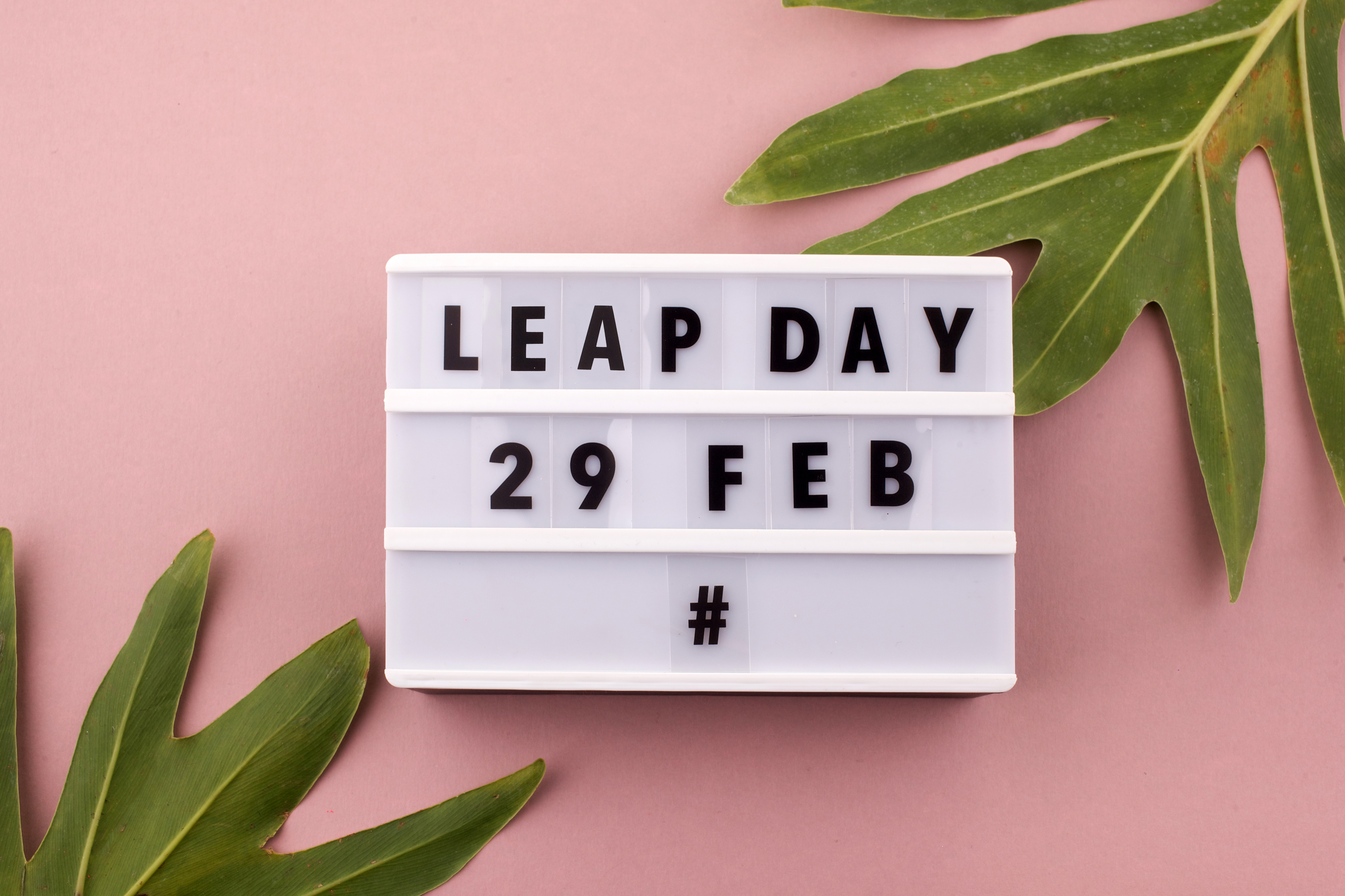 Local Businesses Are Celebrating Leap Day With Freebies And Deals Local Businesses Are Celebrating Leap Day With Freebies And Deals
